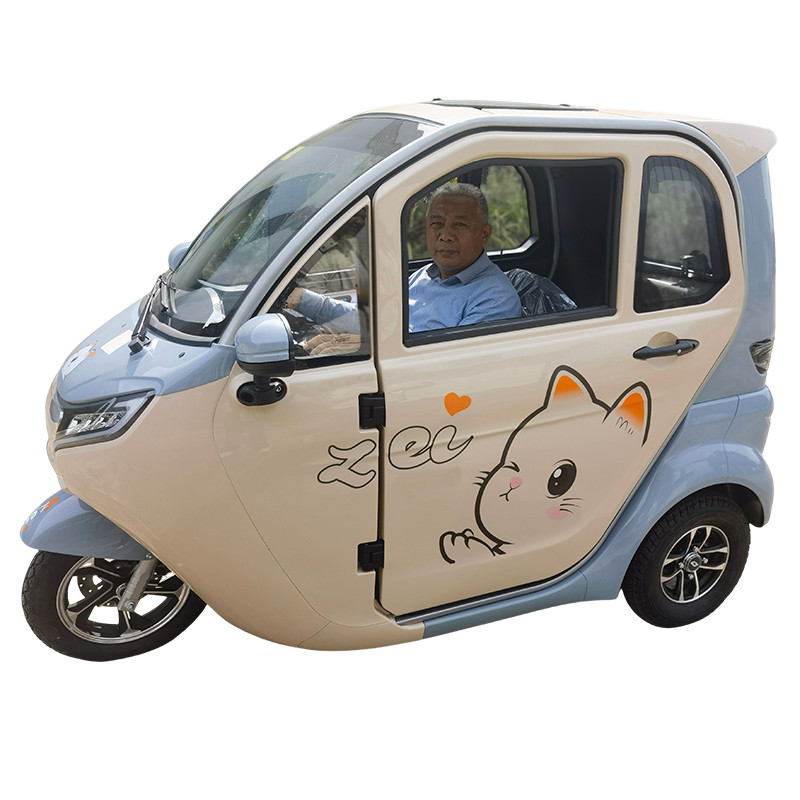 Factory Wholesale e-trike 1200W 3 wheel electric car adult electric ...